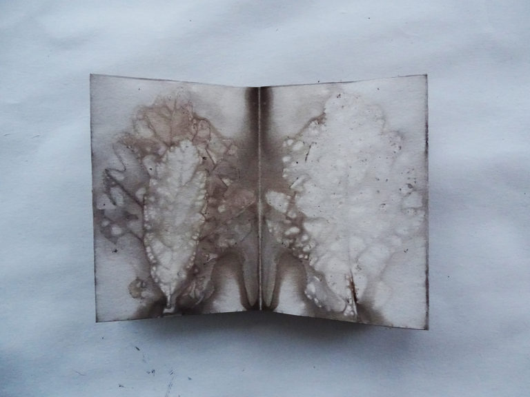 How to create Botanical Contact prints at home (ENG) – angeladesigns