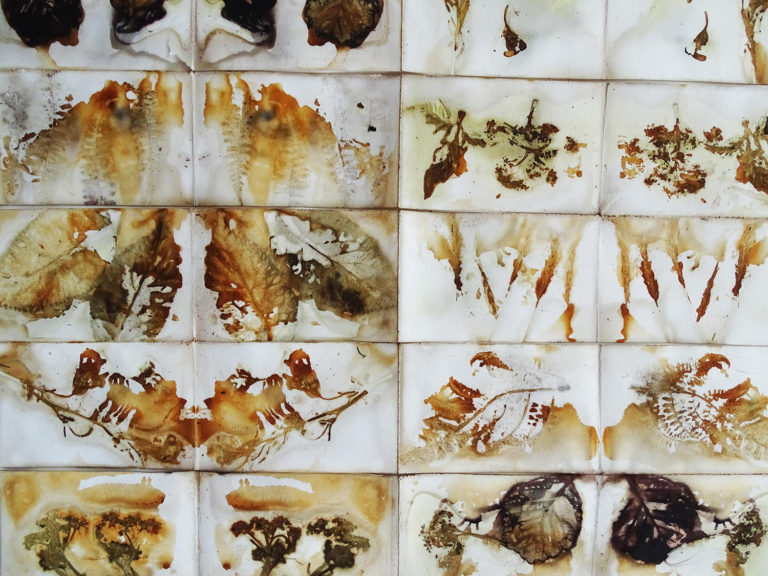 AngelaDesigns | How to create Botanical Contact prints at home (ENG)