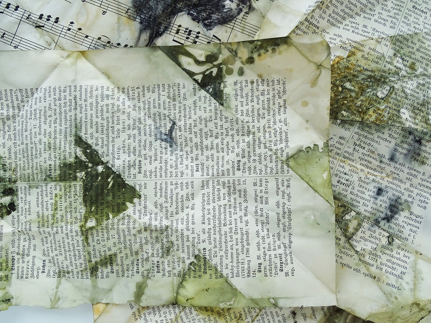 How to create Botanical Contact prints at home (ENG) – angeladesigns